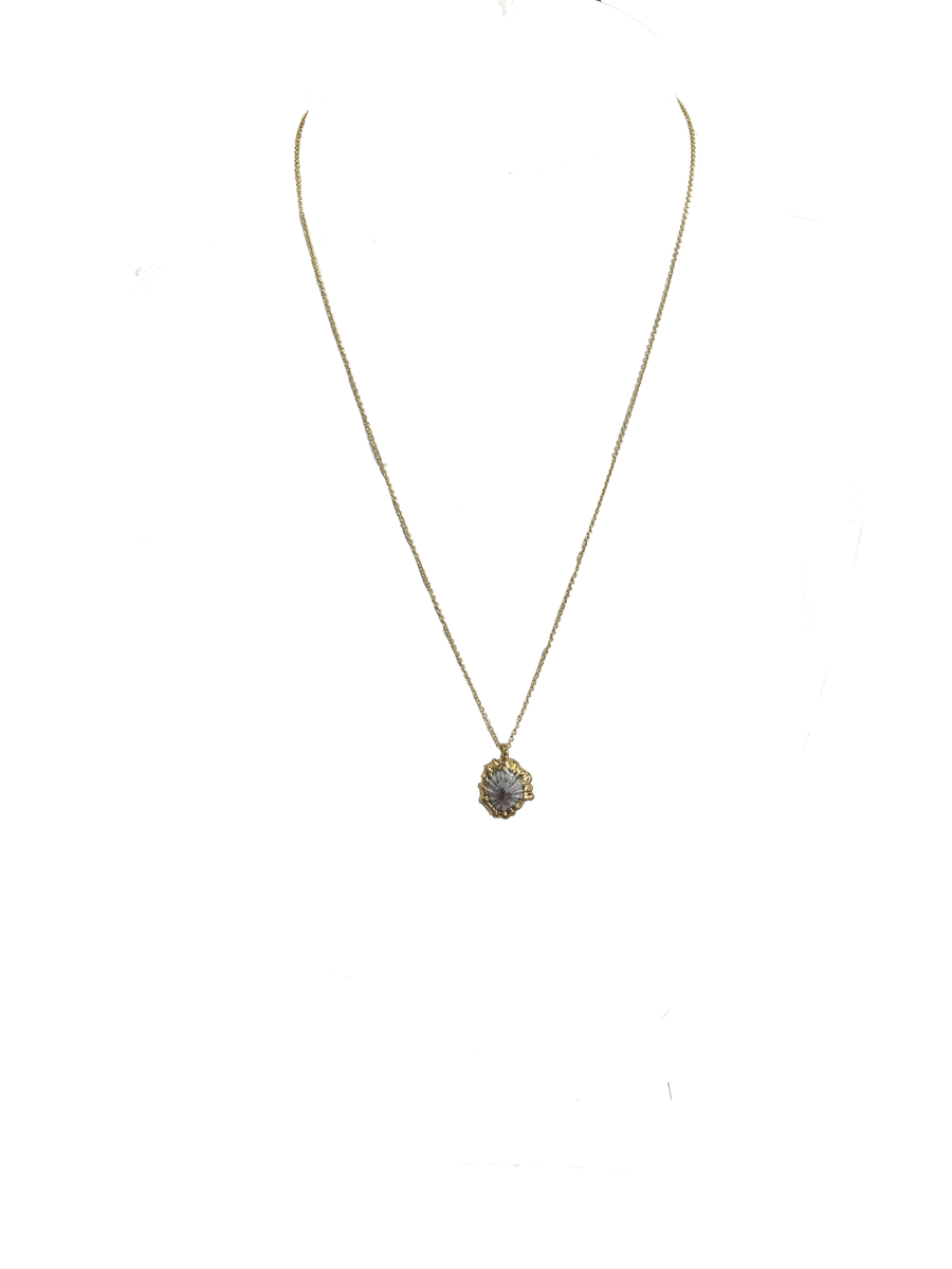 Opihi Shell Necklace – Citrine Swim